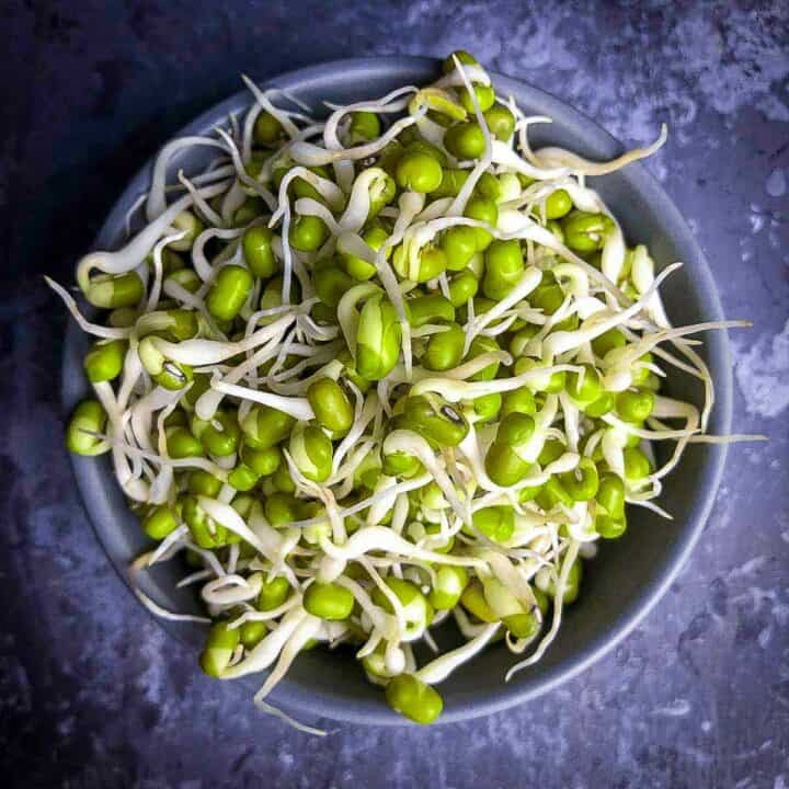 Sprout Mung Beans at Home: Easy Beginner's Guide