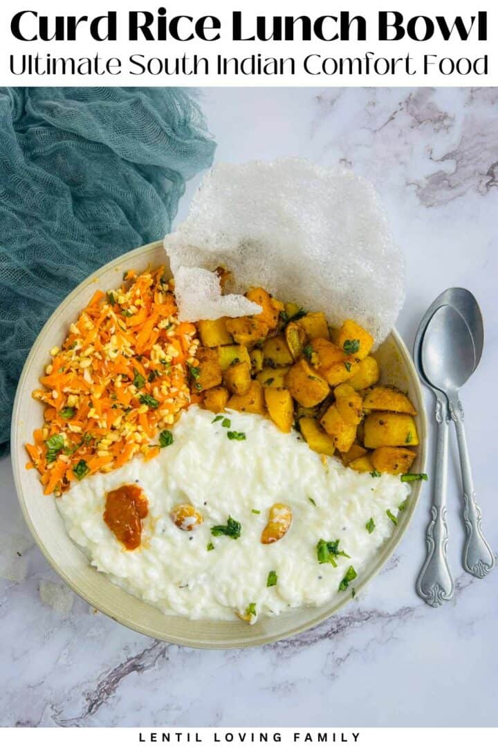 Curd Rice Recipe (South Indian Thayir Sadam — Easy Comfort Food)