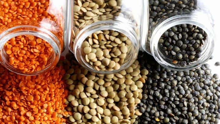 The Ultimate Guide to Types of Lentils: The Go-To Pantry Staple