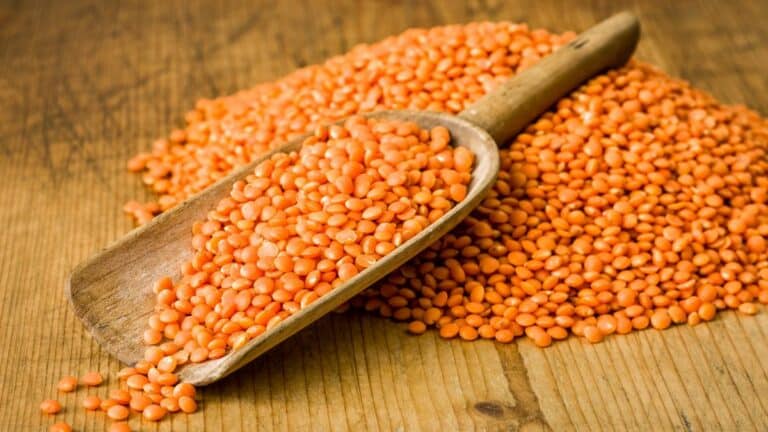 Types of Lentils: A Complete Guide to Red, Green, Brown, Black and More