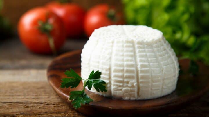 Cheese Lover's Paradise: 36 Types of Cheese You Need to Know