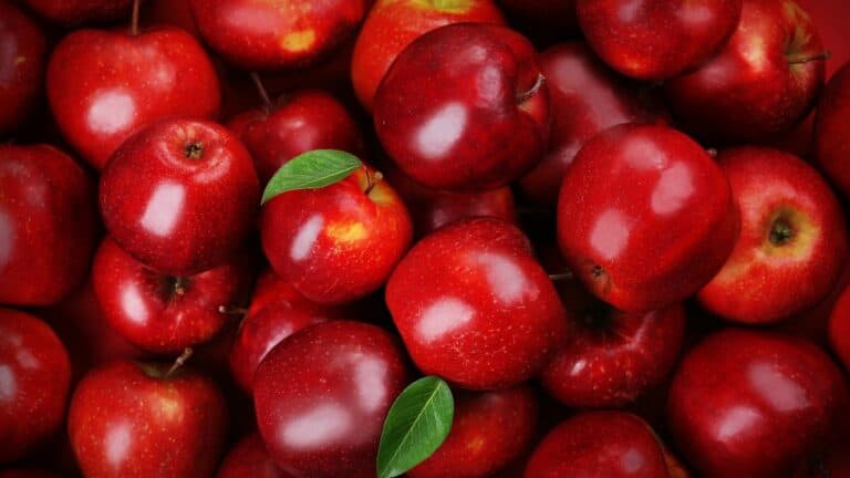 17 Fruits That Start with E (With Pictures): Encountering the Exotic
