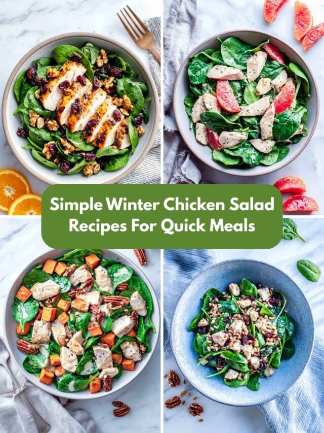 20 Winter Chicken Salads: Hearty, Comforting Recipes for Cold-Weather Meals